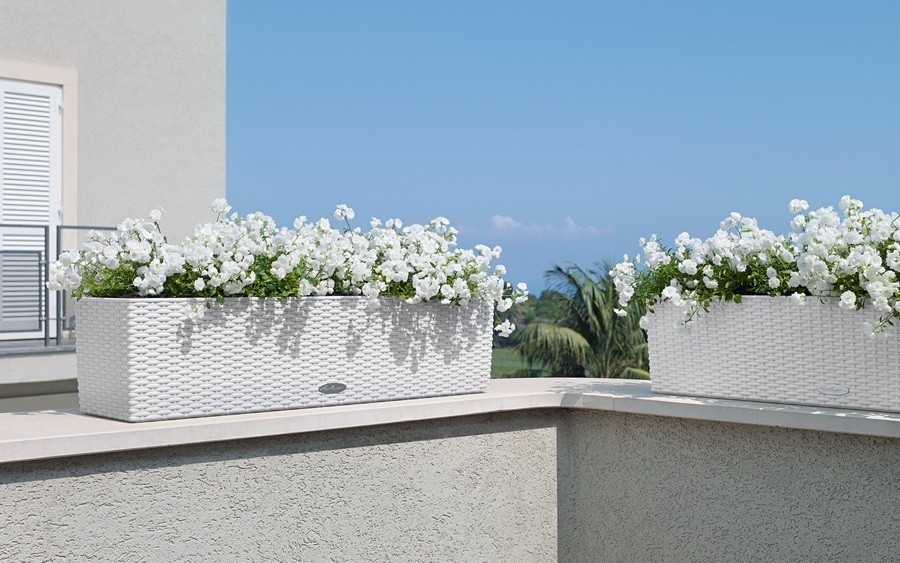 Balconera Cottage 80